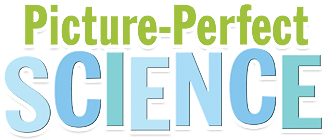 Picture-Perfect Science – Using Children's Books to Inspire STEM Learning